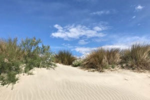 Montpellier Strand - Für einen schönen Urlaub & unvergessliche Zeit
